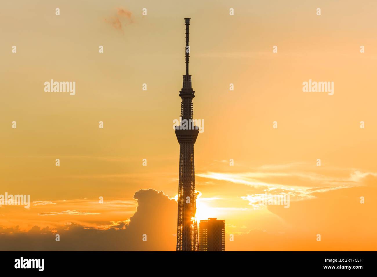 Tokyo sky tree and sunset Stock Photo - Alamy