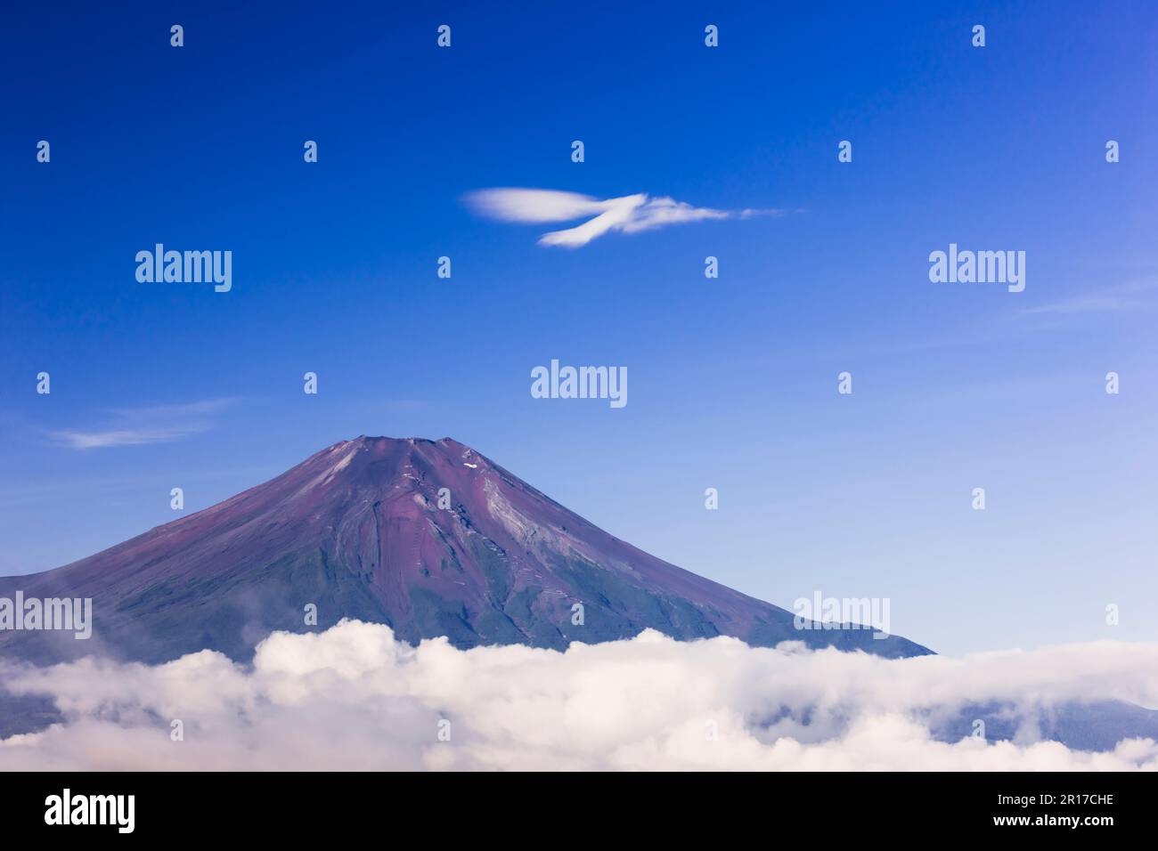 Summer nature in japan hi-res stock photography and images - Alamy