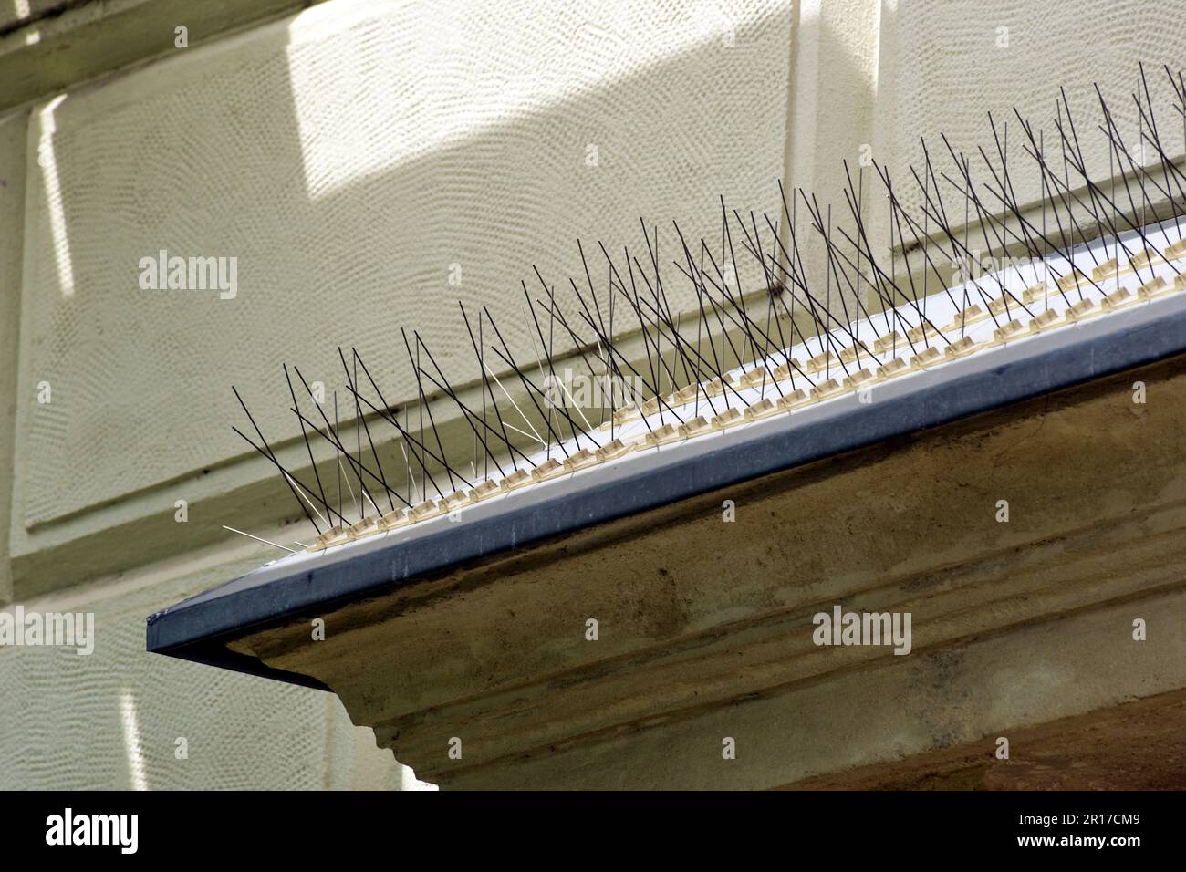 metal spike anti-roosting or pigeon prevention. repellent device. bird ...