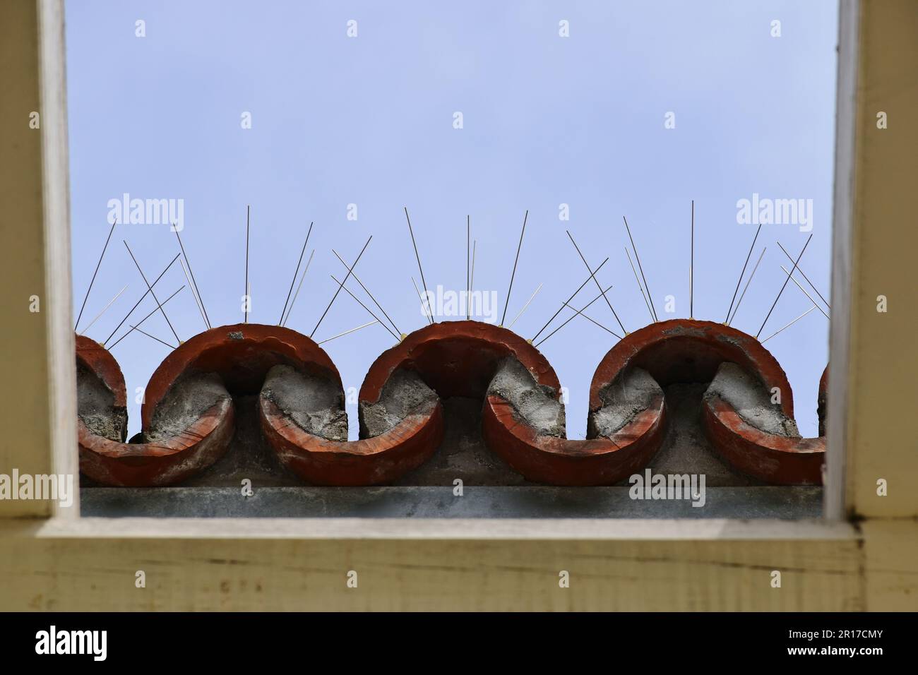 metal spike anti-roosting or pigeon prevention. repellent device. bird ...