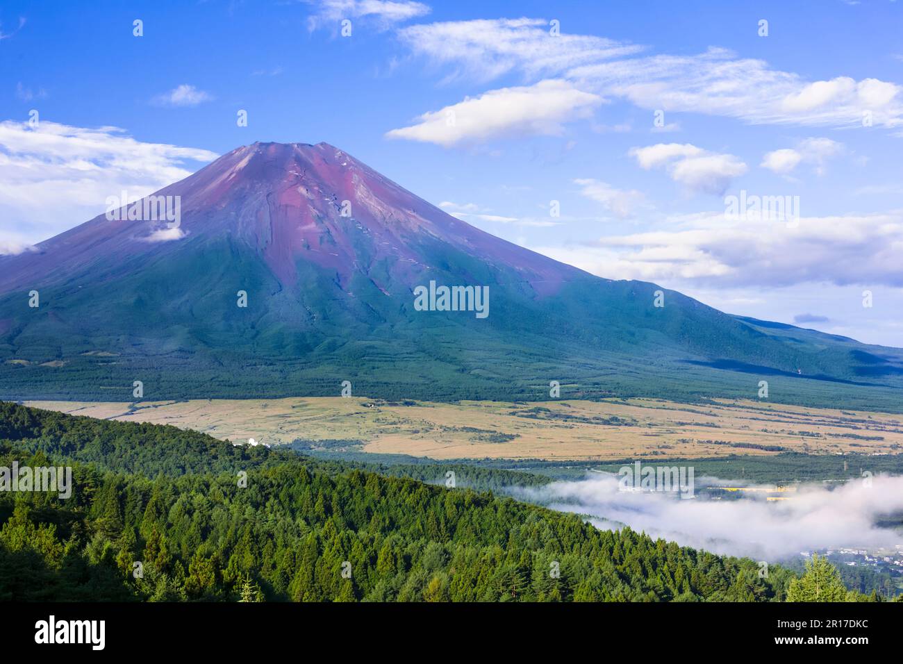 Mount fuji in the summer hi-res stock photography and images - Alamy