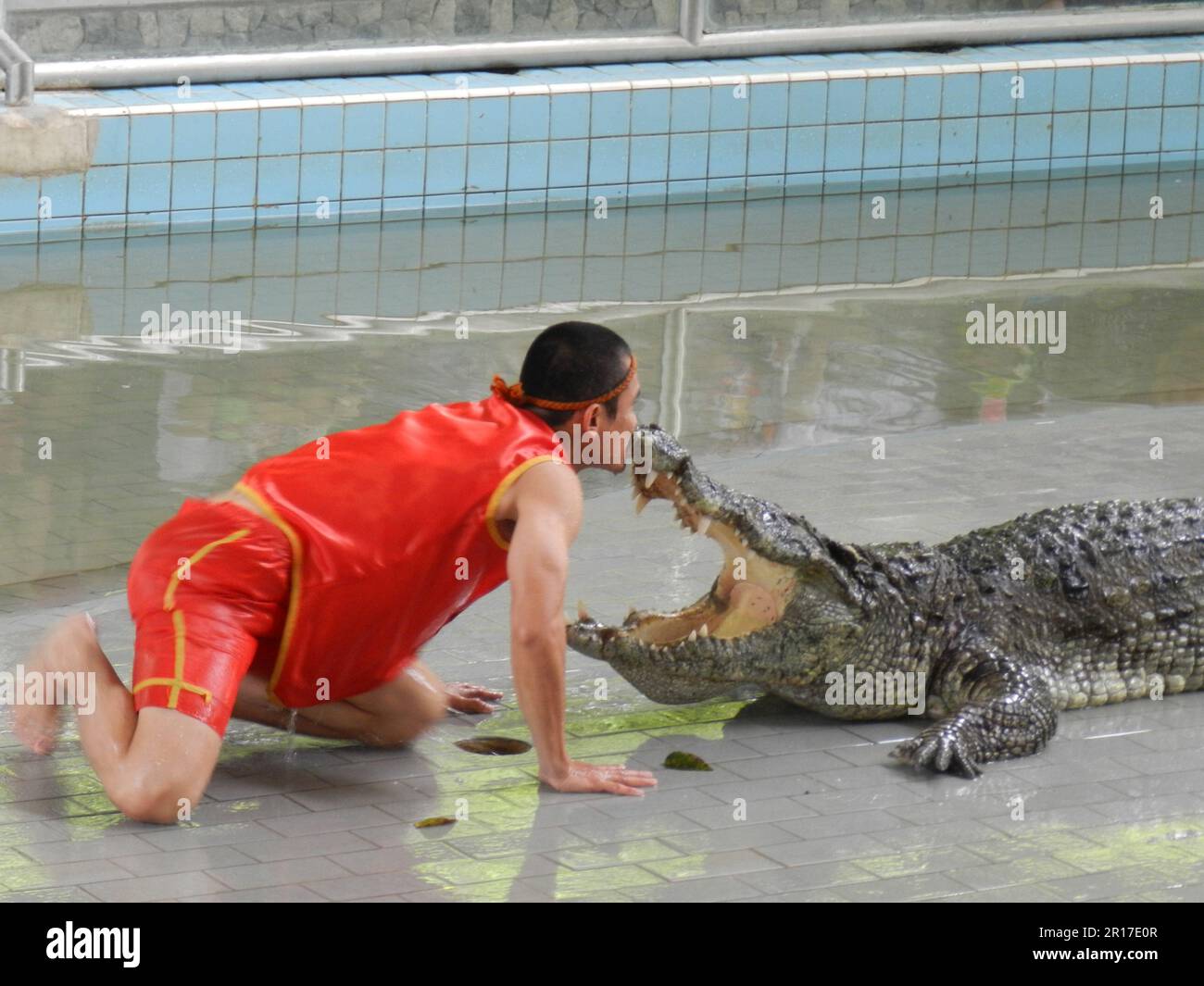 Thailand, Chonburi: the Million Years Stone Park (Pattaya Crocodile ...