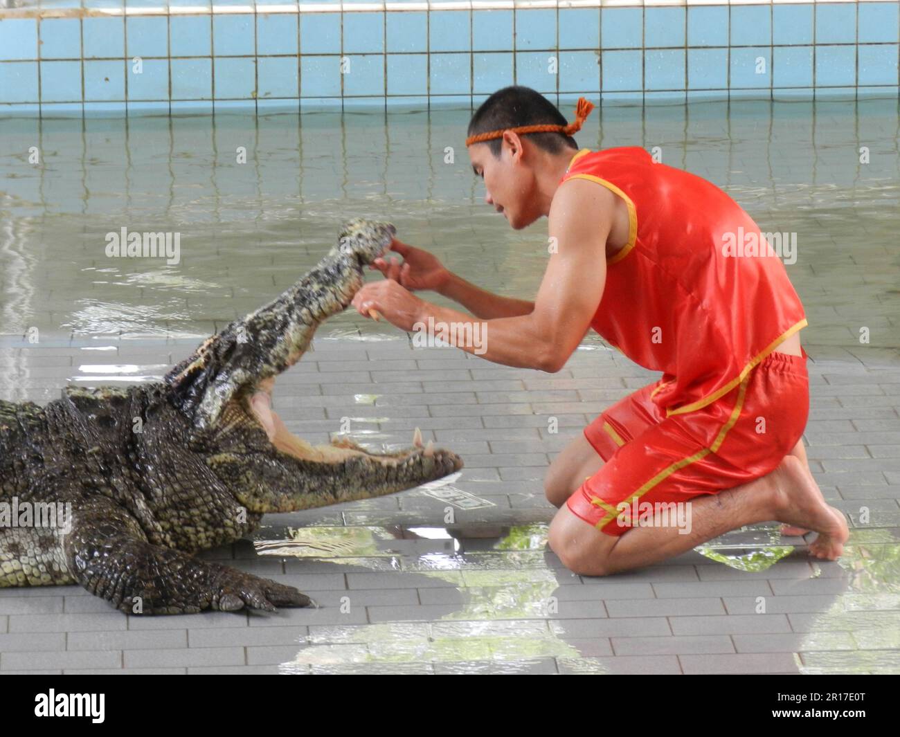 Thailand, Chonburi: the Million Years Stone Park (Pattaya Crocodile ...