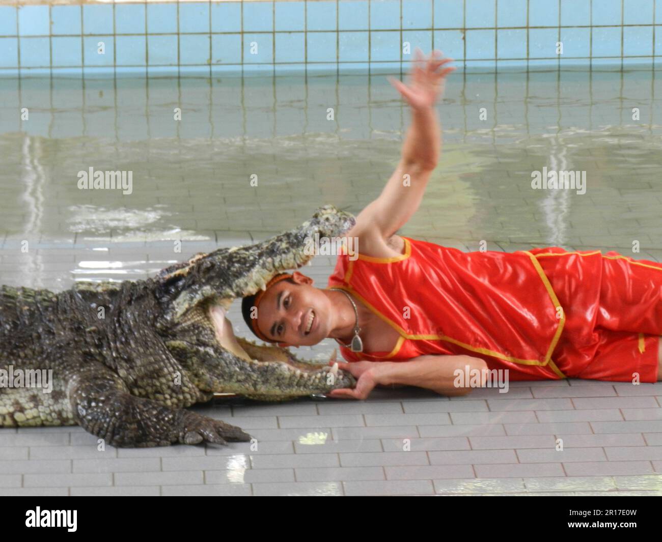 Thailand, Chonburi: the Million Years Stone Park (Pattaya Crocodile ...