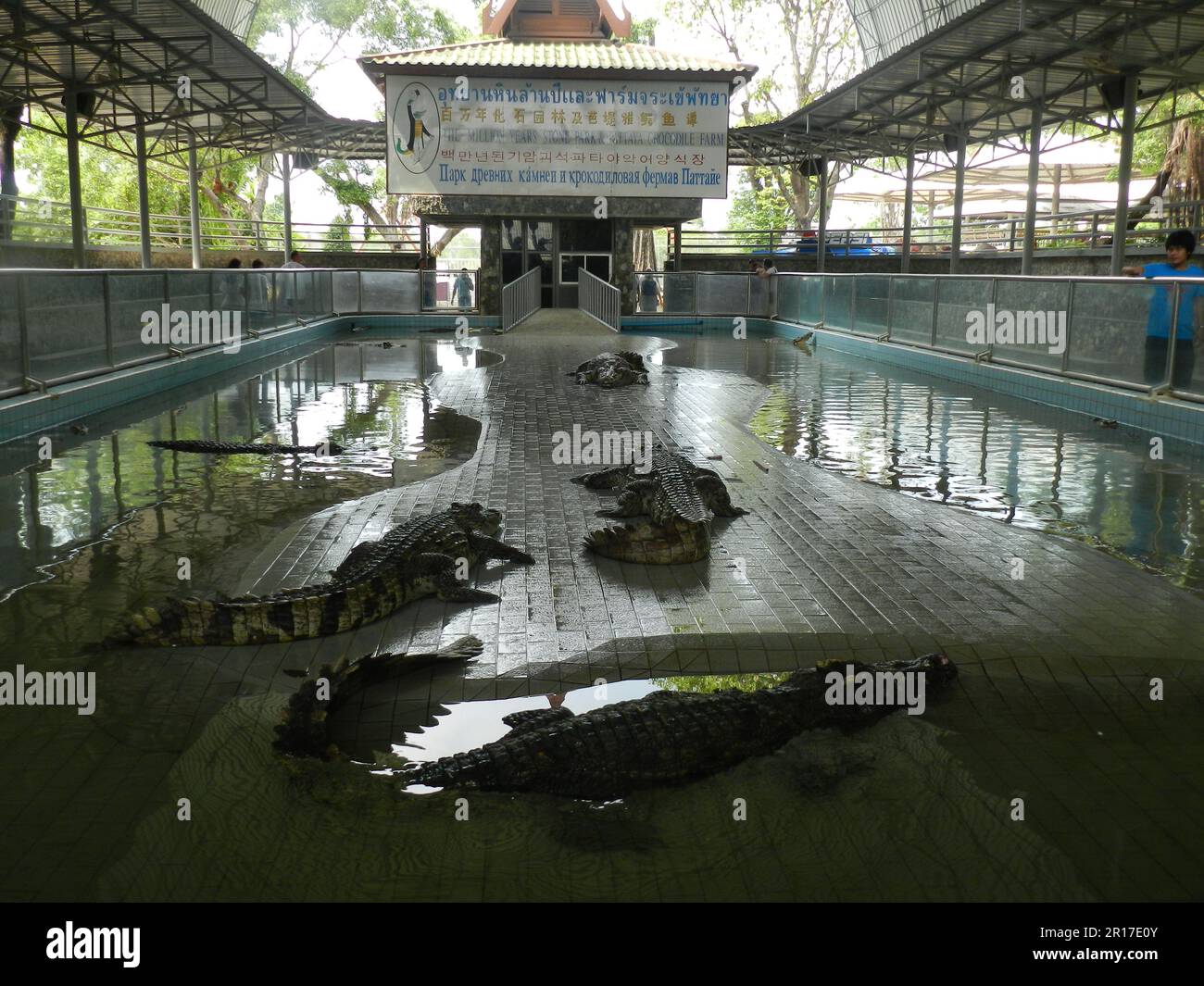 Thailand, Chonburi: the Million Years Stone Park (Pattaya Crocodile ...