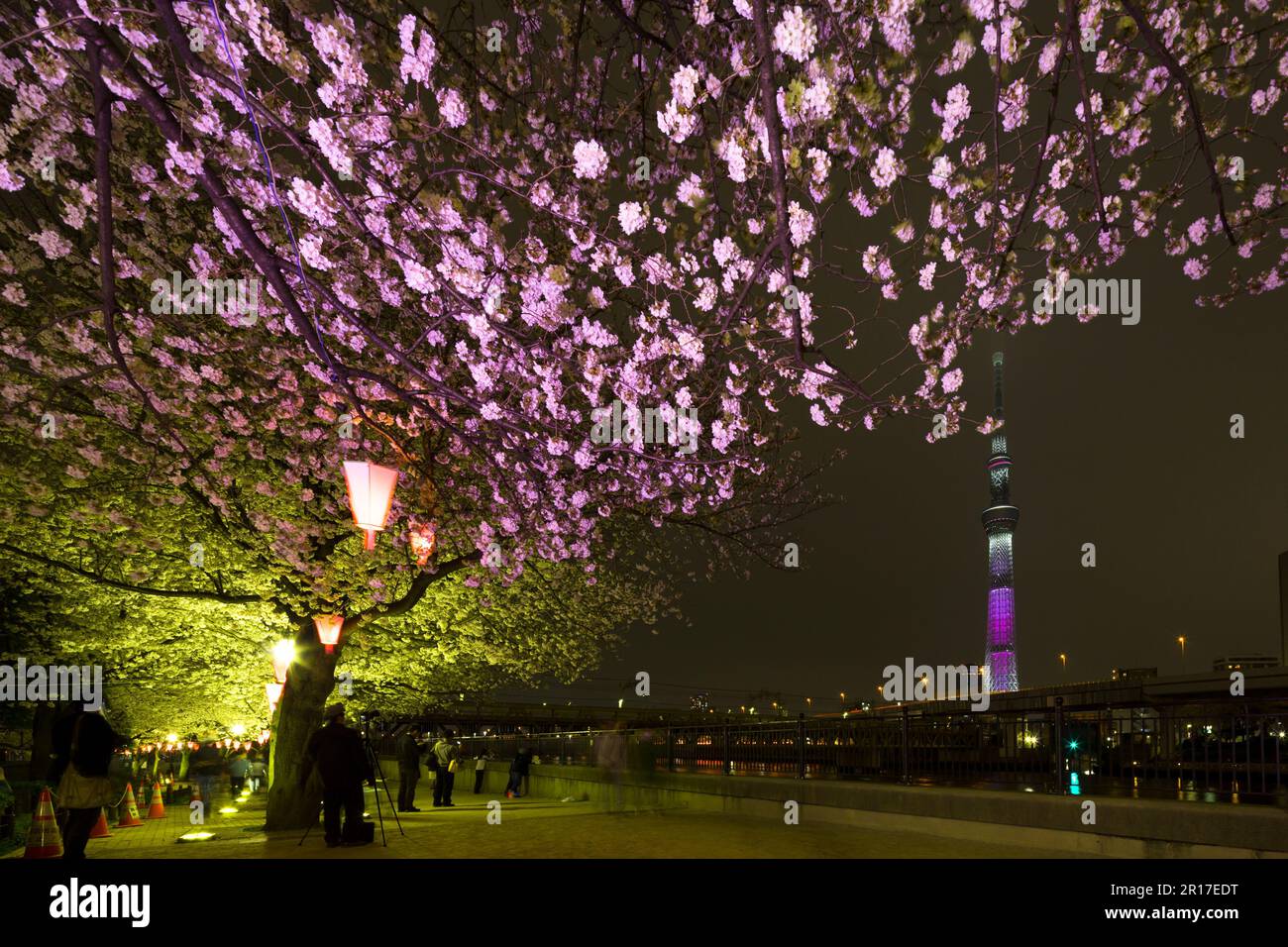 Pink street light hi-res stock photography and images - Alamy