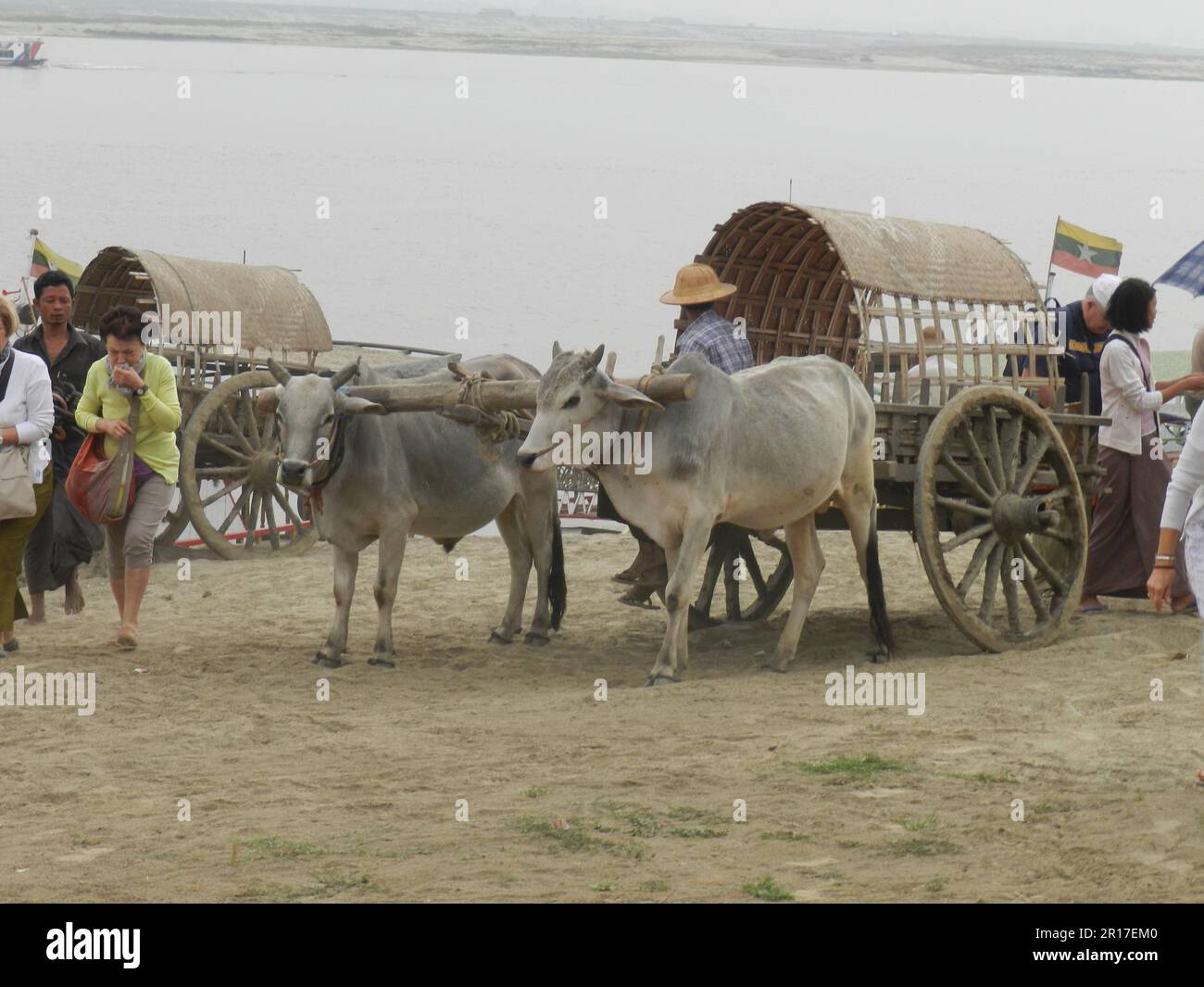 Myanmar, Mandalay, Mingun: ox carts collect visitors from the boats at ...