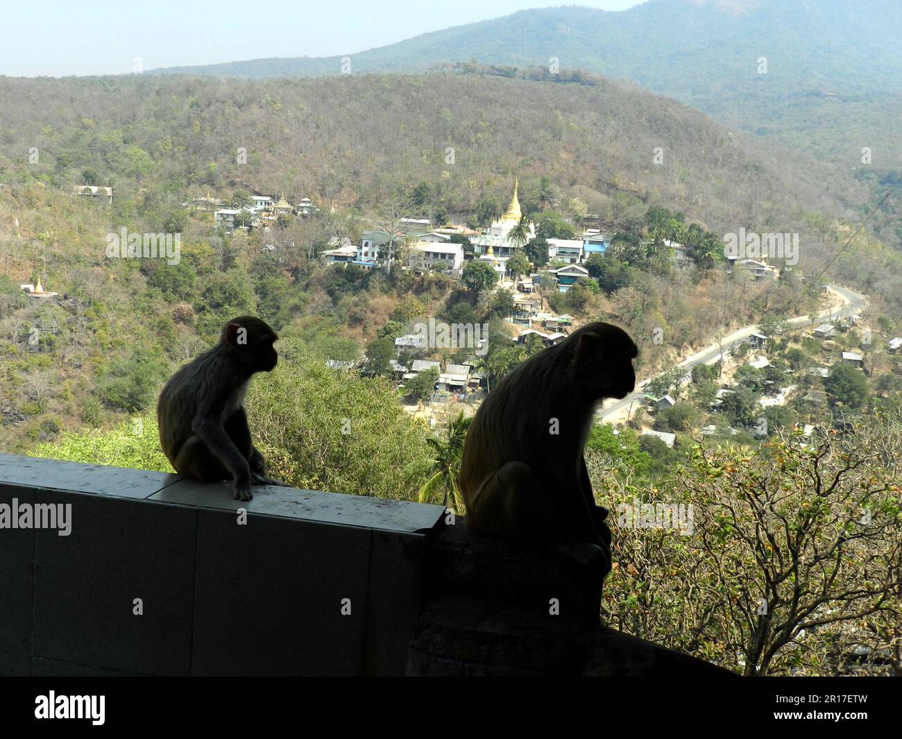 Myanmar, Bagan: hilly landscape with zedi behind Mount Popa, with ...