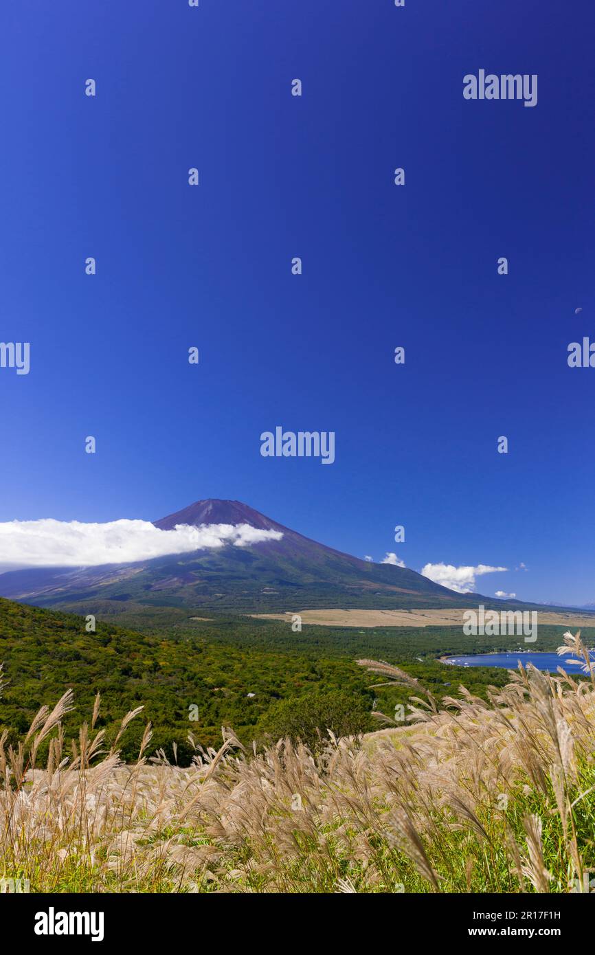Mount Fuji seen from panoramic viewing platform at Lake Yamanaka Stock ...