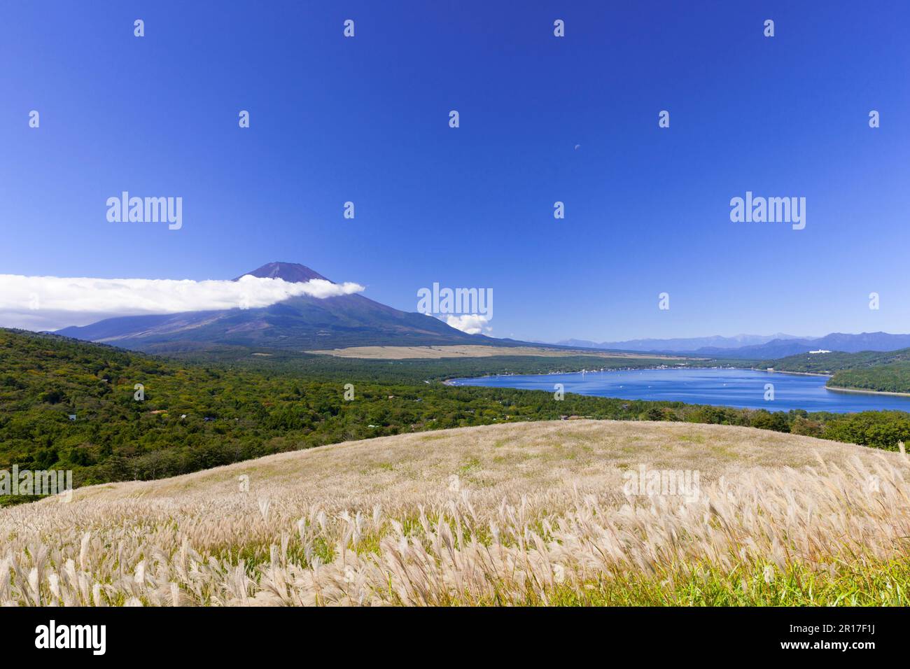 Mount Fuji seen from panoramic viewing platform at Lake Yamanaka Stock ...