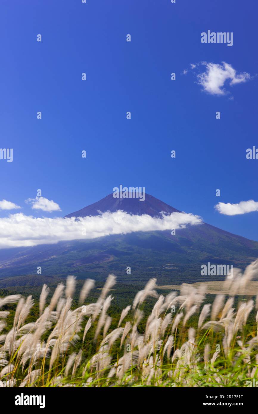 Mount Fuji seen from panoramic viewing platform at Lake Yamanaka Stock ...