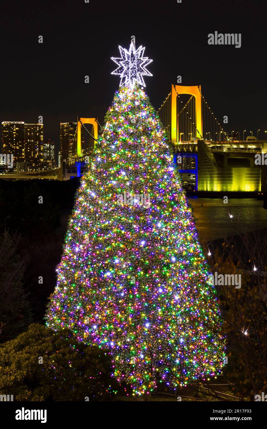 Christmas tree and Rainbow bridge Stock Photo - Alamy