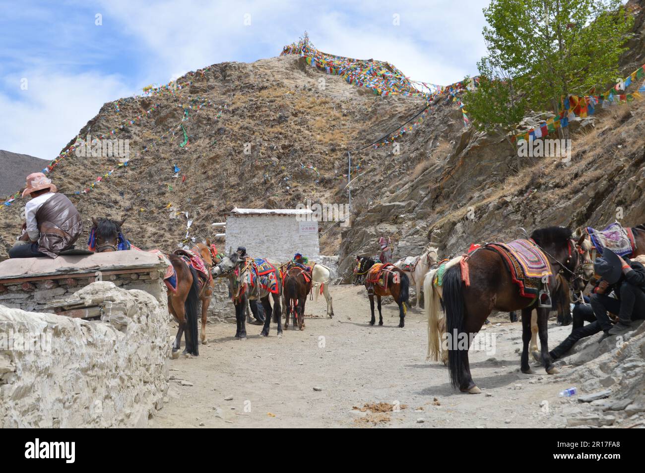 People's Republic of China, Tibet: horses for hire for the ascent of ...