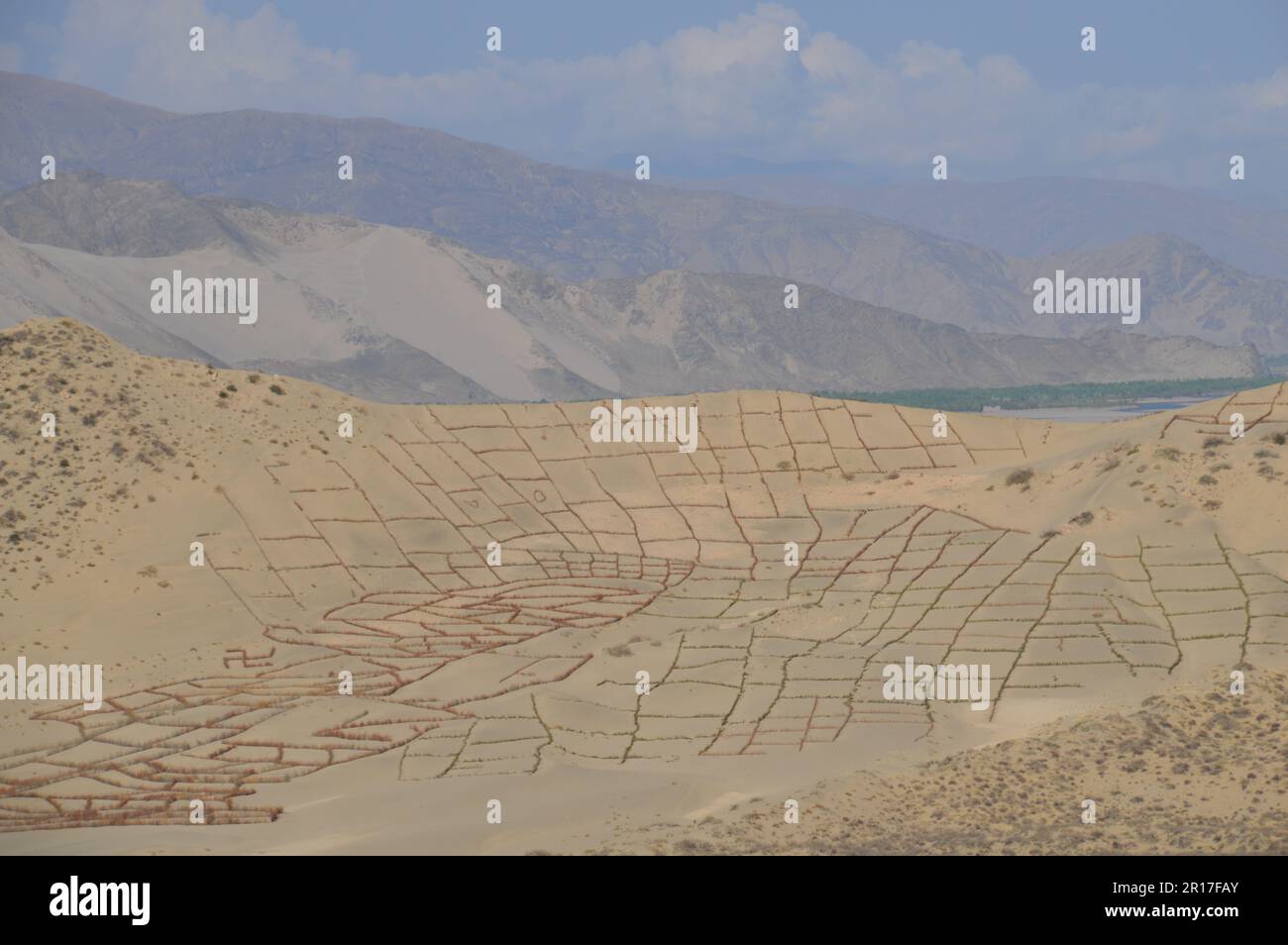 Dune stabilisation hi-res stock photography and images - Alamy