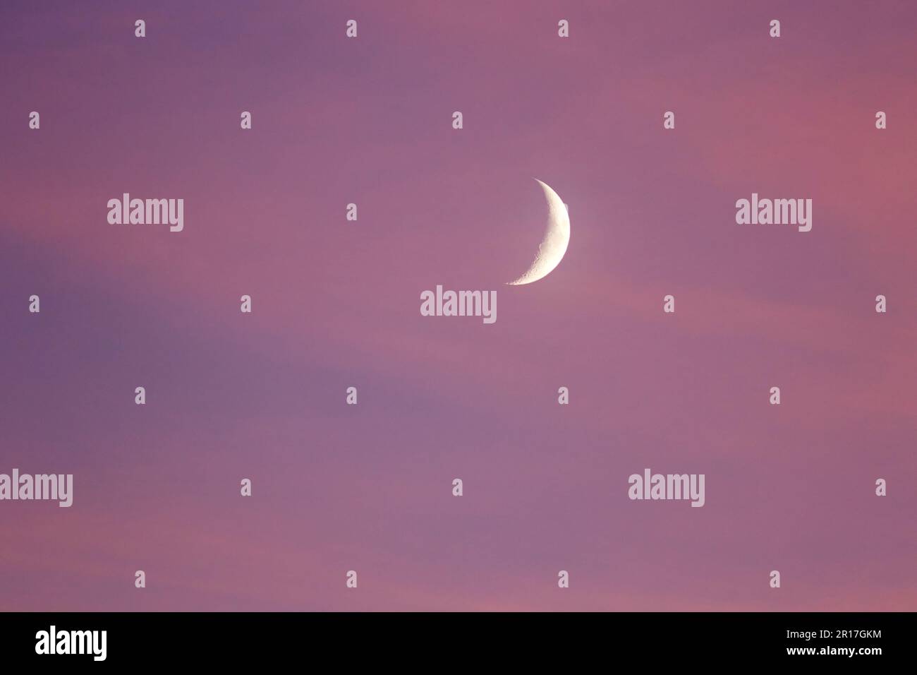 A crescent moon against a pink sky, seen in early evening, at dusk ...