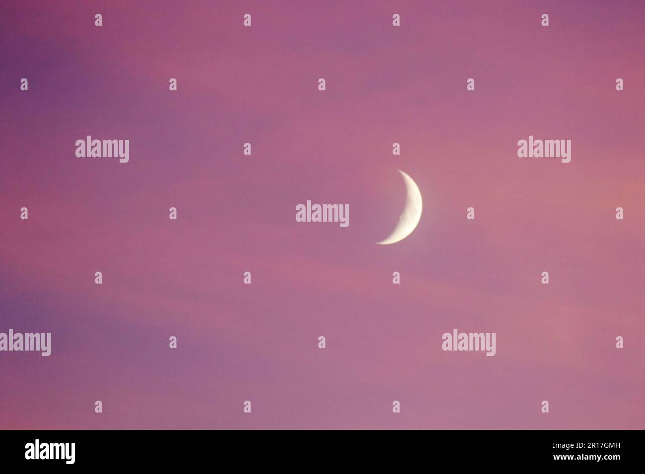 A crescent moon against a pink sky, seen in early evening, at dusk ...