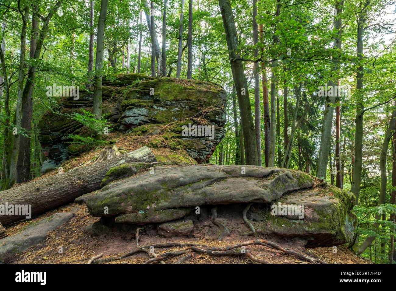 Orange and rockland hi-res stock photography and images - Alamy