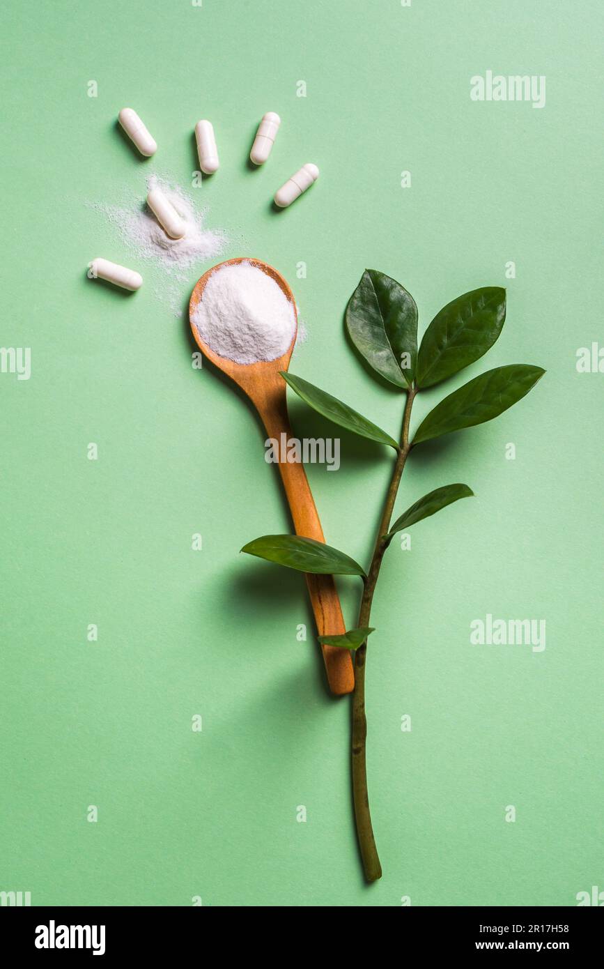 Collagen powder and capsules (pills) and green plant on green ...