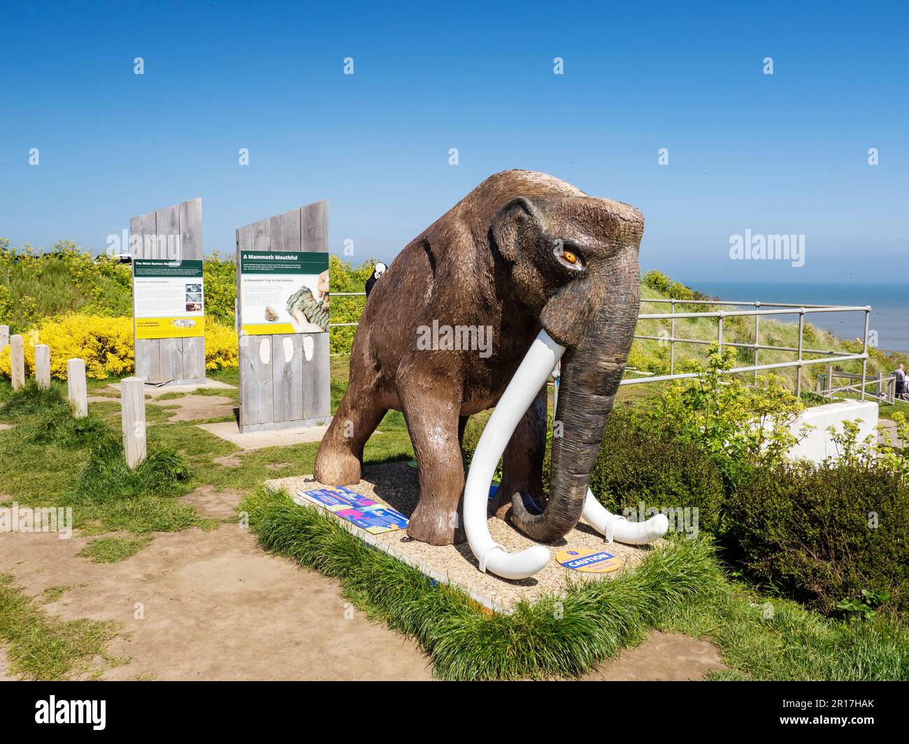Runton mammoth hi-res stock photography and images - Alamy