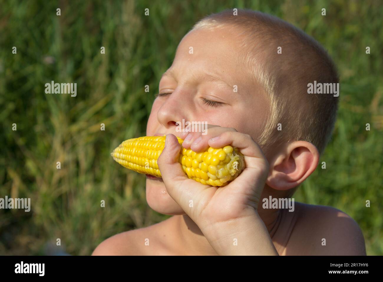 A boy eats corn in an outdoor park. Corn in the hands of a child Stock Photo - Alamy