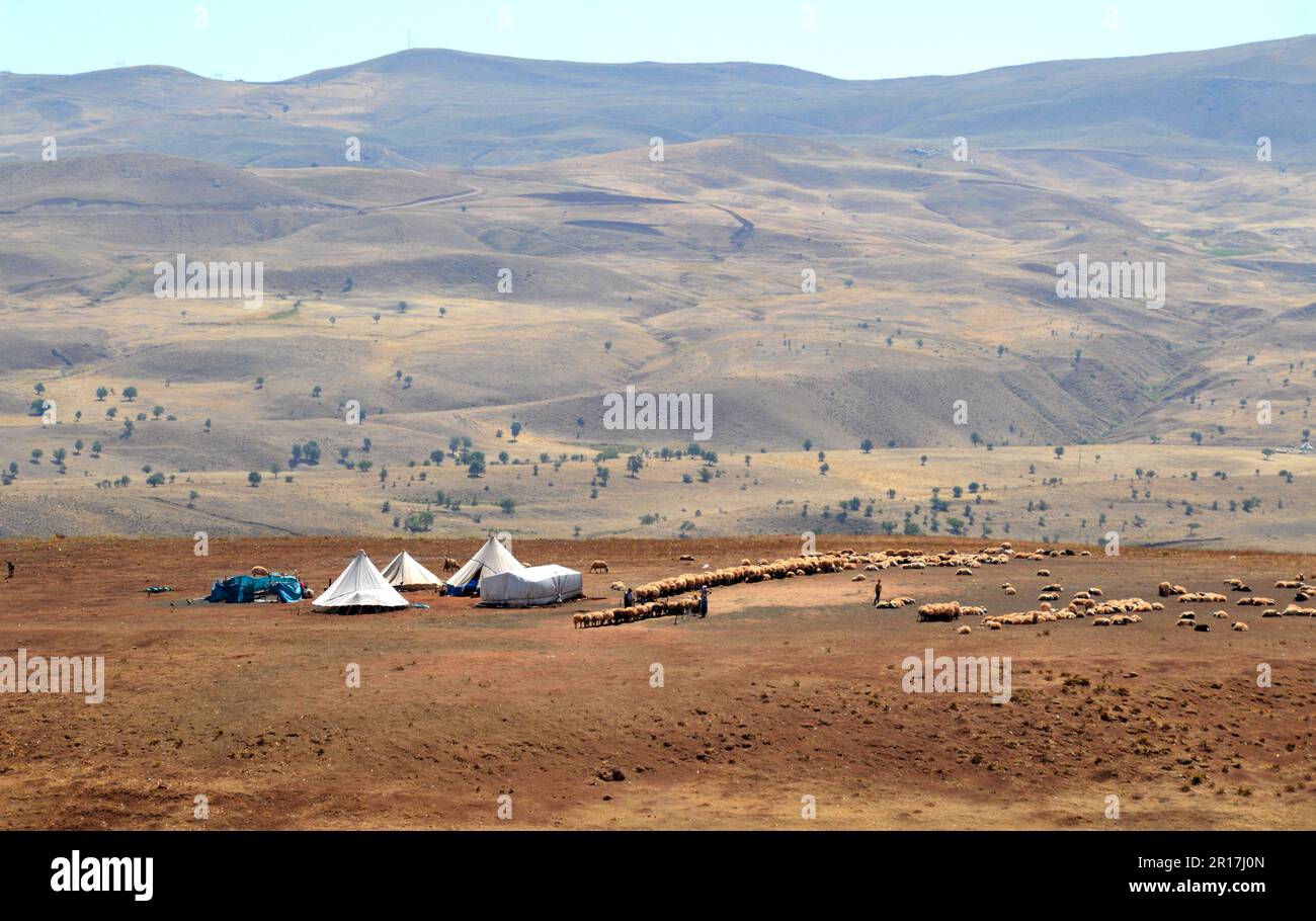 Turkey, Anatolia: nomads camping on the plains of north-east Anatolia ...