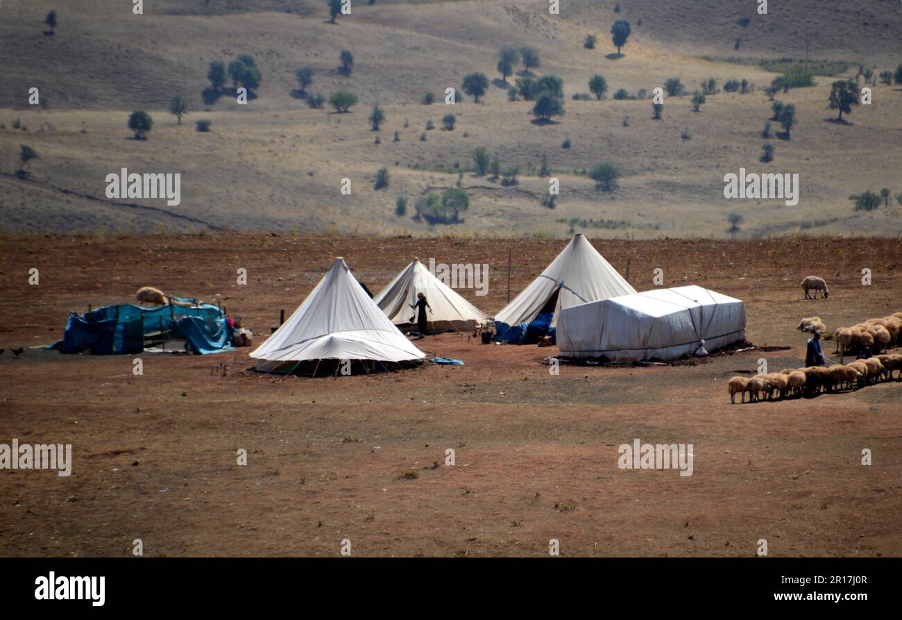 Turkey, Anatolia: nomads camping on the plains of north-east Anatolia ...