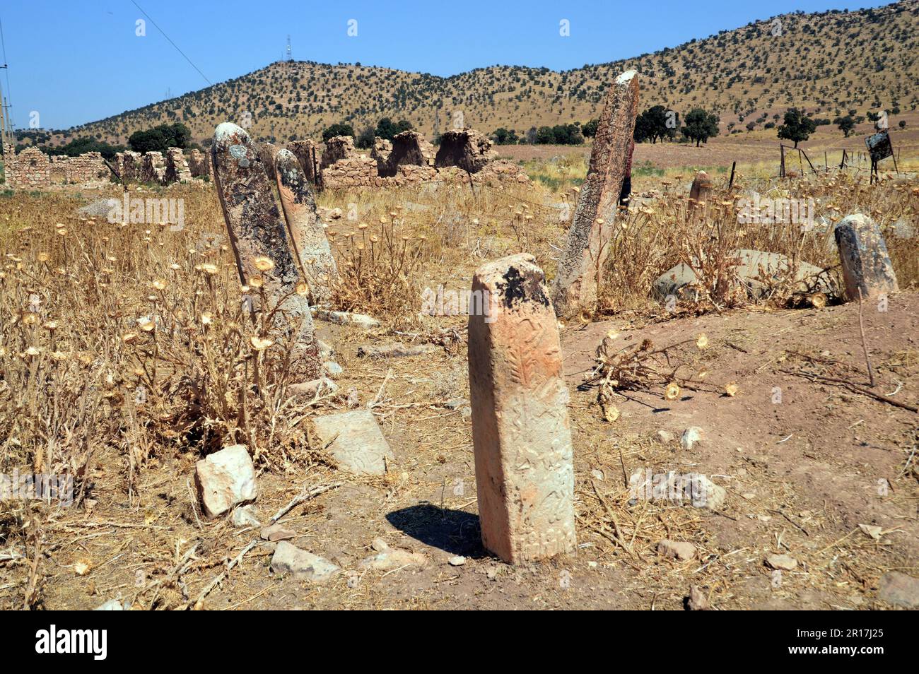 Iran: gravestones of ancient heroes approximately 250 years old in a ...