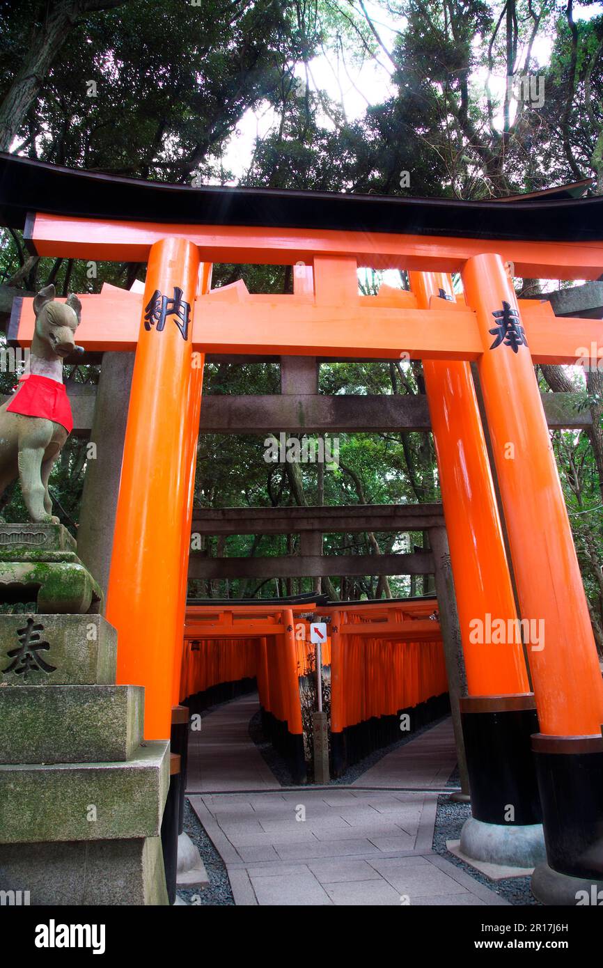 Thousand Torii corridor and Fox of Fushimi Inari-Taisha Stock Photo - Alamy