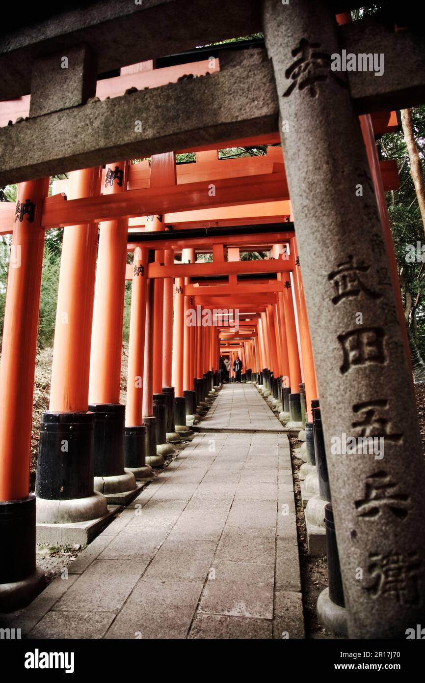 Thousand Torii corridor of Fushimi Inari-Taisha Stock Photo - Alamy