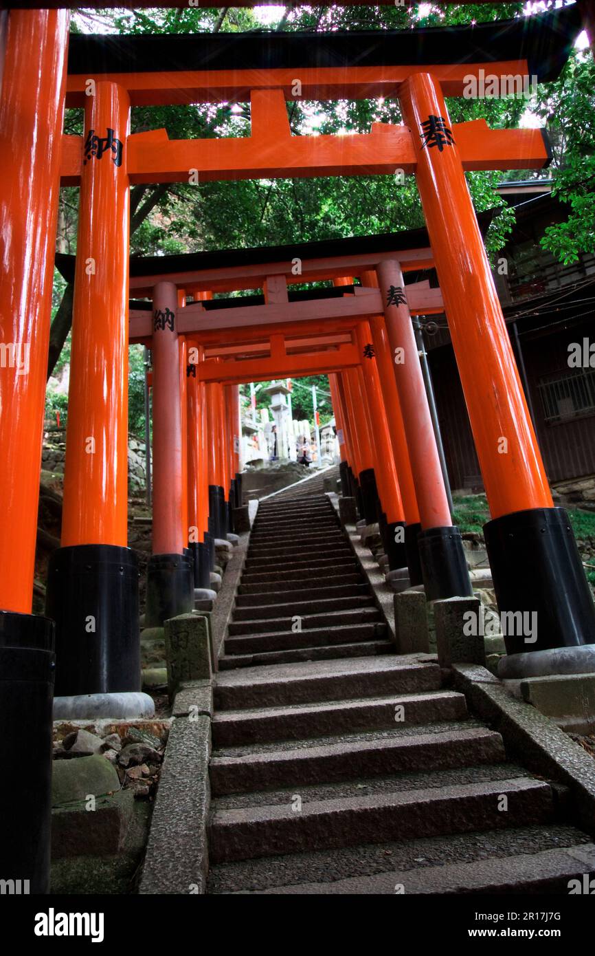 Thousand Torii corridor of Fushimi Inari-Taisha Stock Photo - Alamy