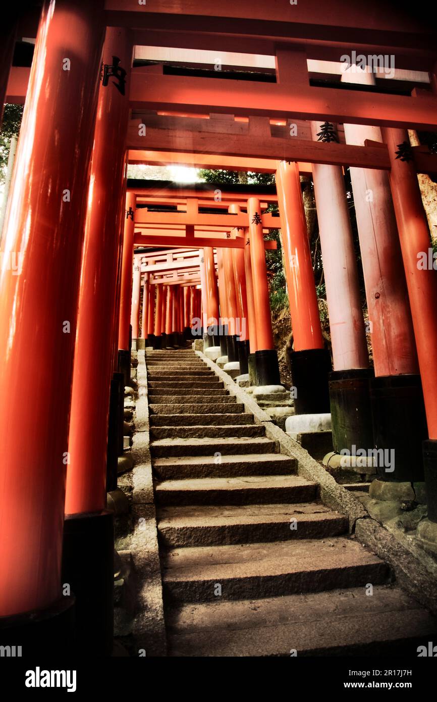 Thousand Torii corridor of Fushimi Inari-Taisha Stock Photo - Alamy