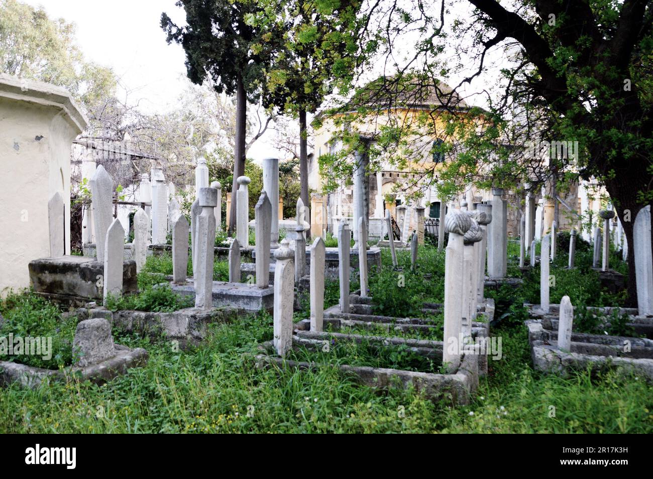 Greece, Island of Rhodes: part of the Turkish cemetery, a leafy oasis ...