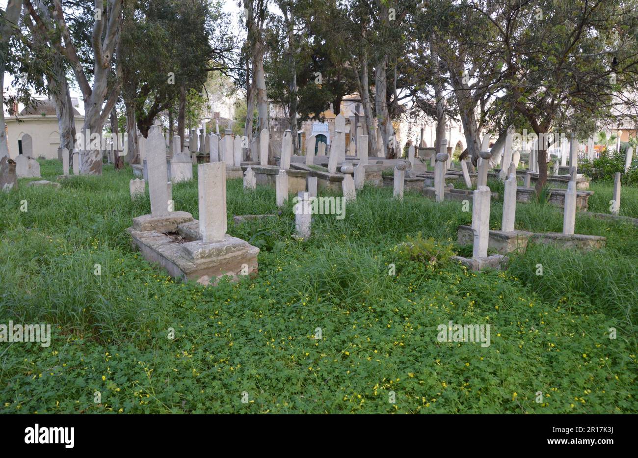 Greece, Island of Rhodes: part of the Turkish cemetery, a leafy oasis ...