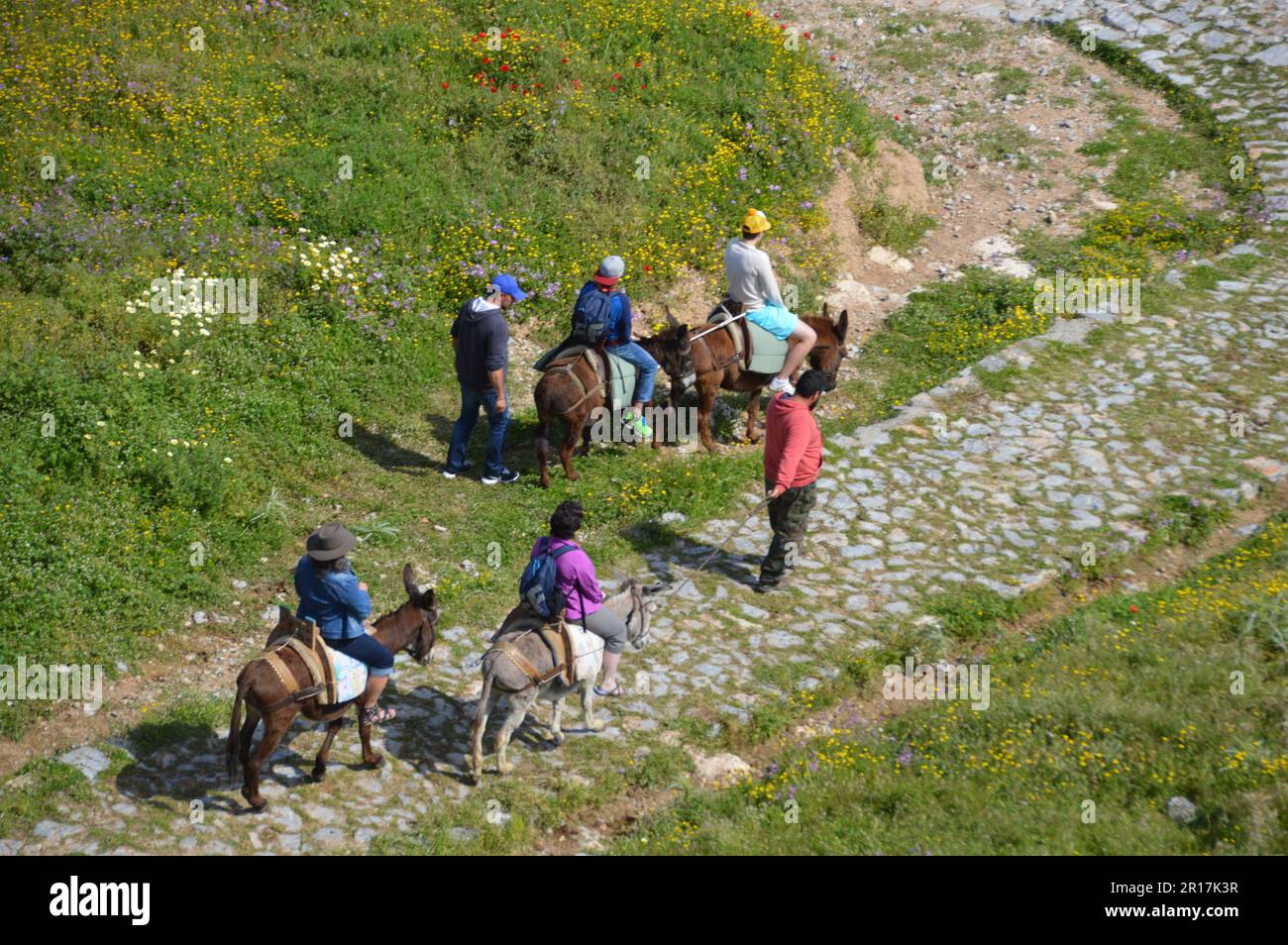 Greece, Island of Rhodes, Lindos: donkeys carry visitors up the ancient ...