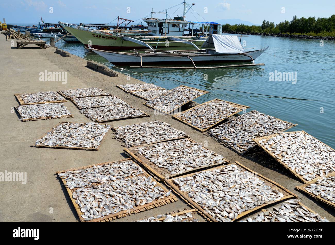The Philippines, Samar Island, Calbayog: the catch of small fish is ...