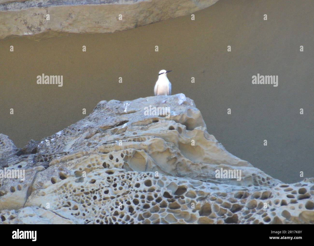 The Philippines: Biri Island, off the north-west coast of Samar, is a ...