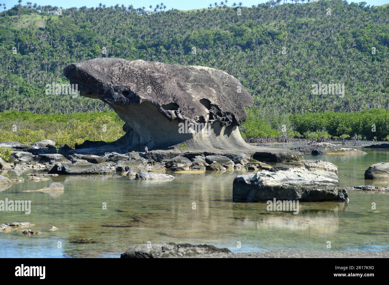 The Philippines: Biri Island, off the north-west coast of Samar, is a ...