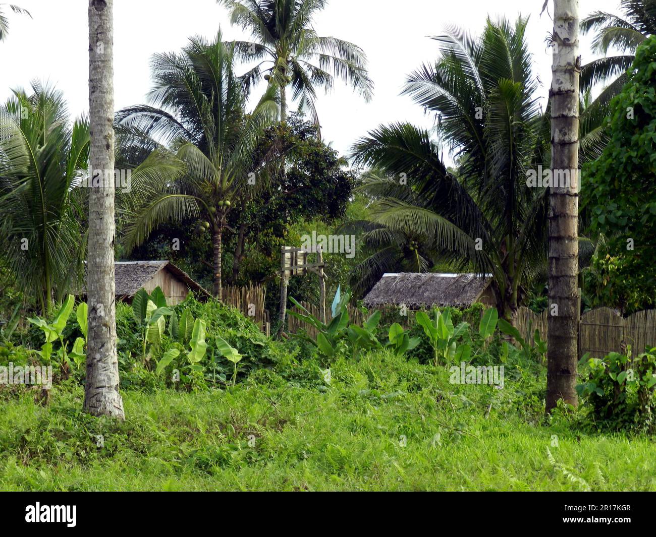 The Philippines, Samar Island: typical pueblo in the tropical forest of ...