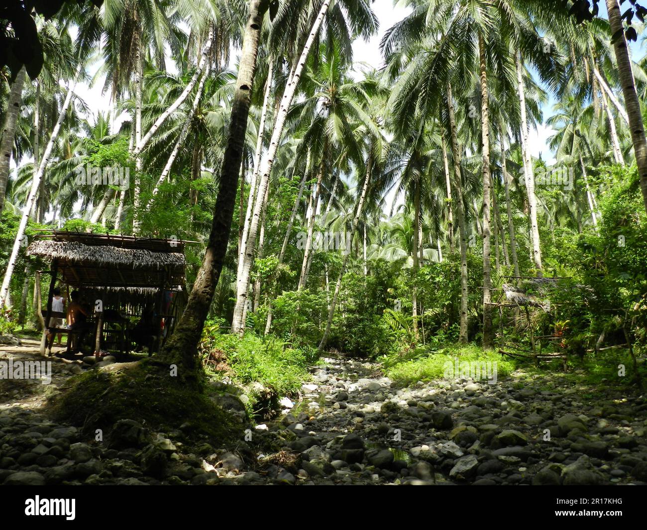 The Philippines, Samar Island, Barangay Longsob: thatched picnic tables ...
