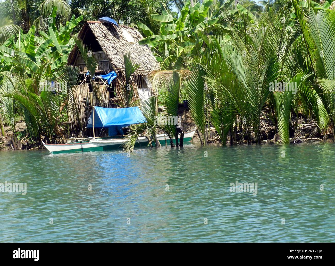 The Philippines, Samar Island, Calbayog: an isolated, thatched dwelling ...