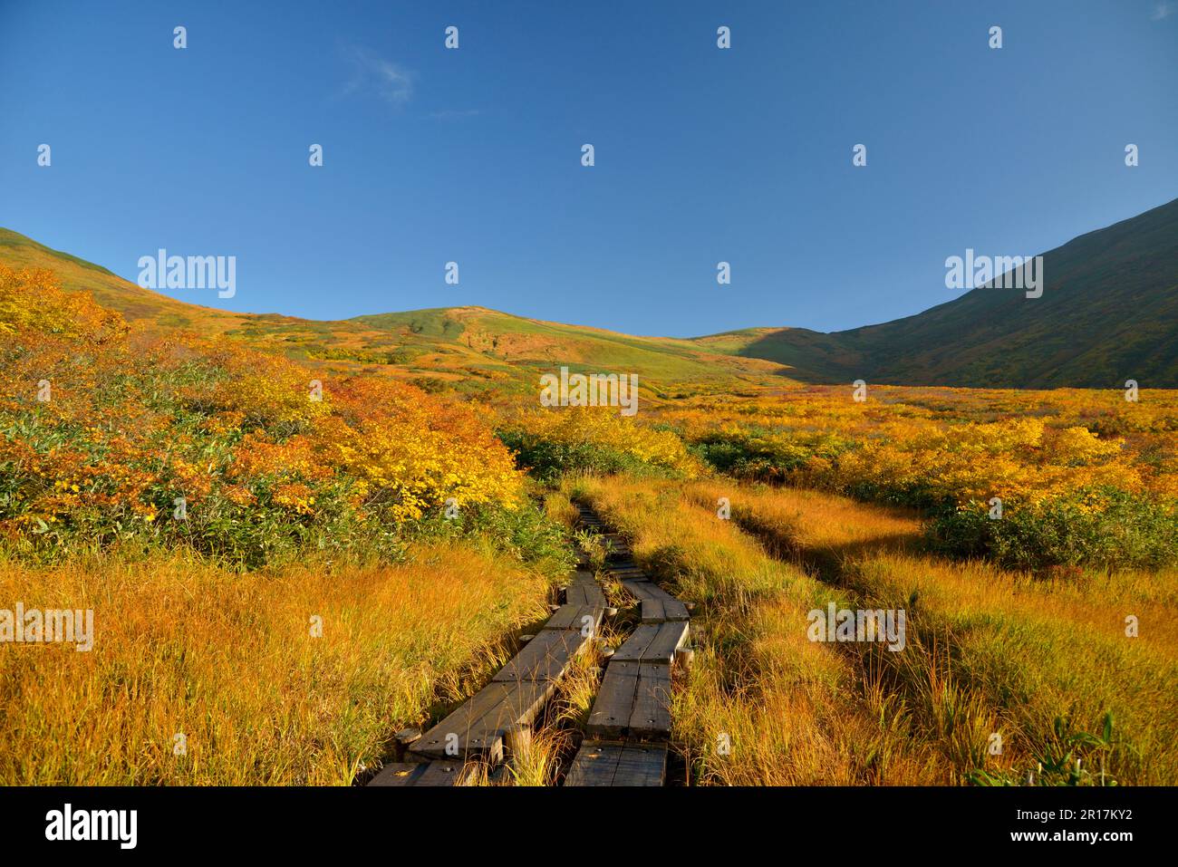 A mountain path with fall colors Stock Photo - Alamy