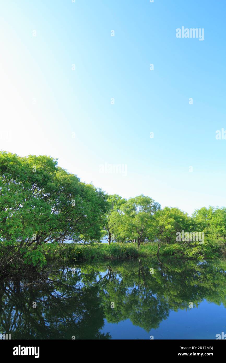 Imahama town hi-res stock photography and images - Alamy