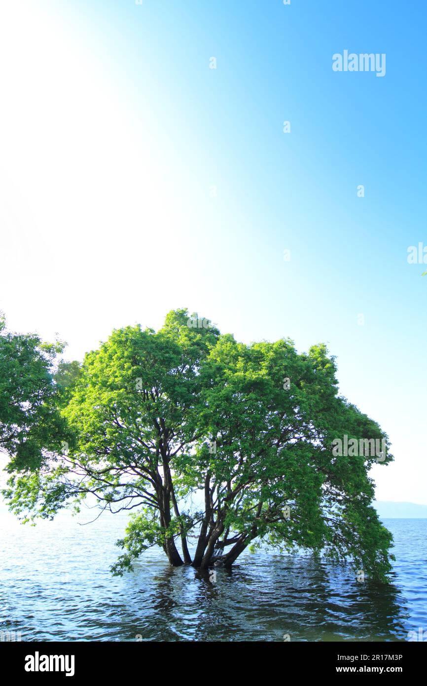 Imahama town hi-res stock photography and images - Alamy