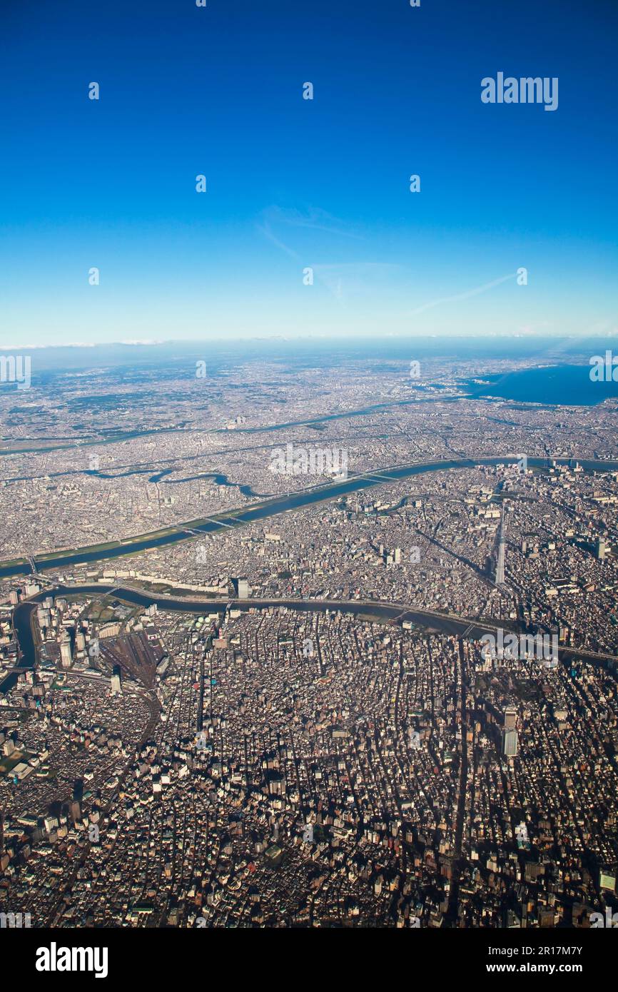 Space View Wallpaper Trees