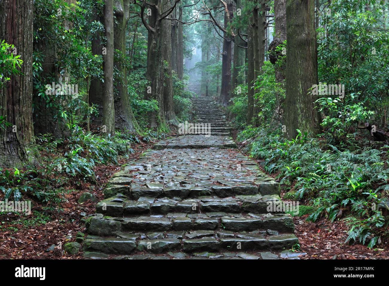 Kumano Nachi mountain daimon slope Stock Photo - Alamy