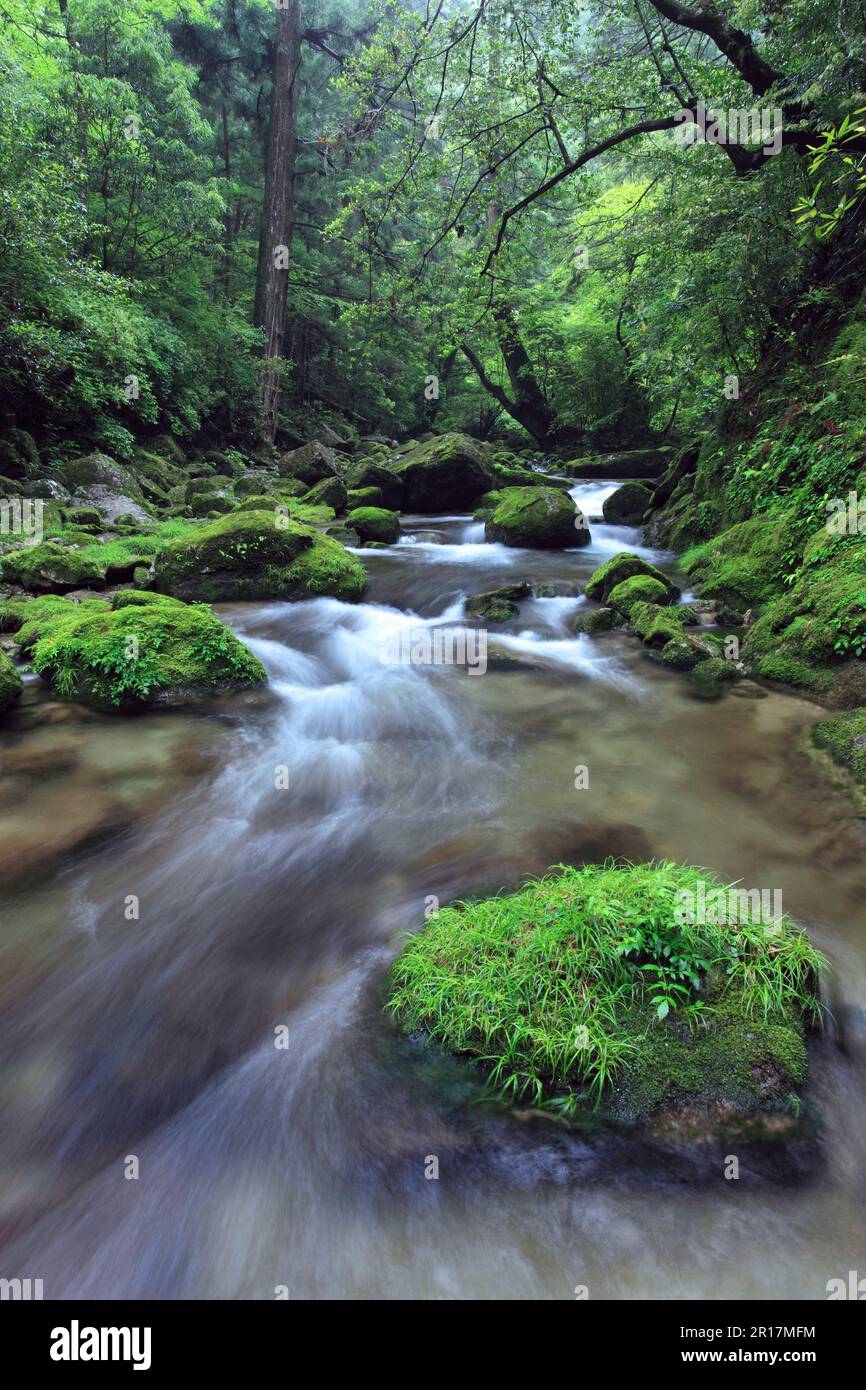 Headwater stream hi-res stock photography and images - Alamy