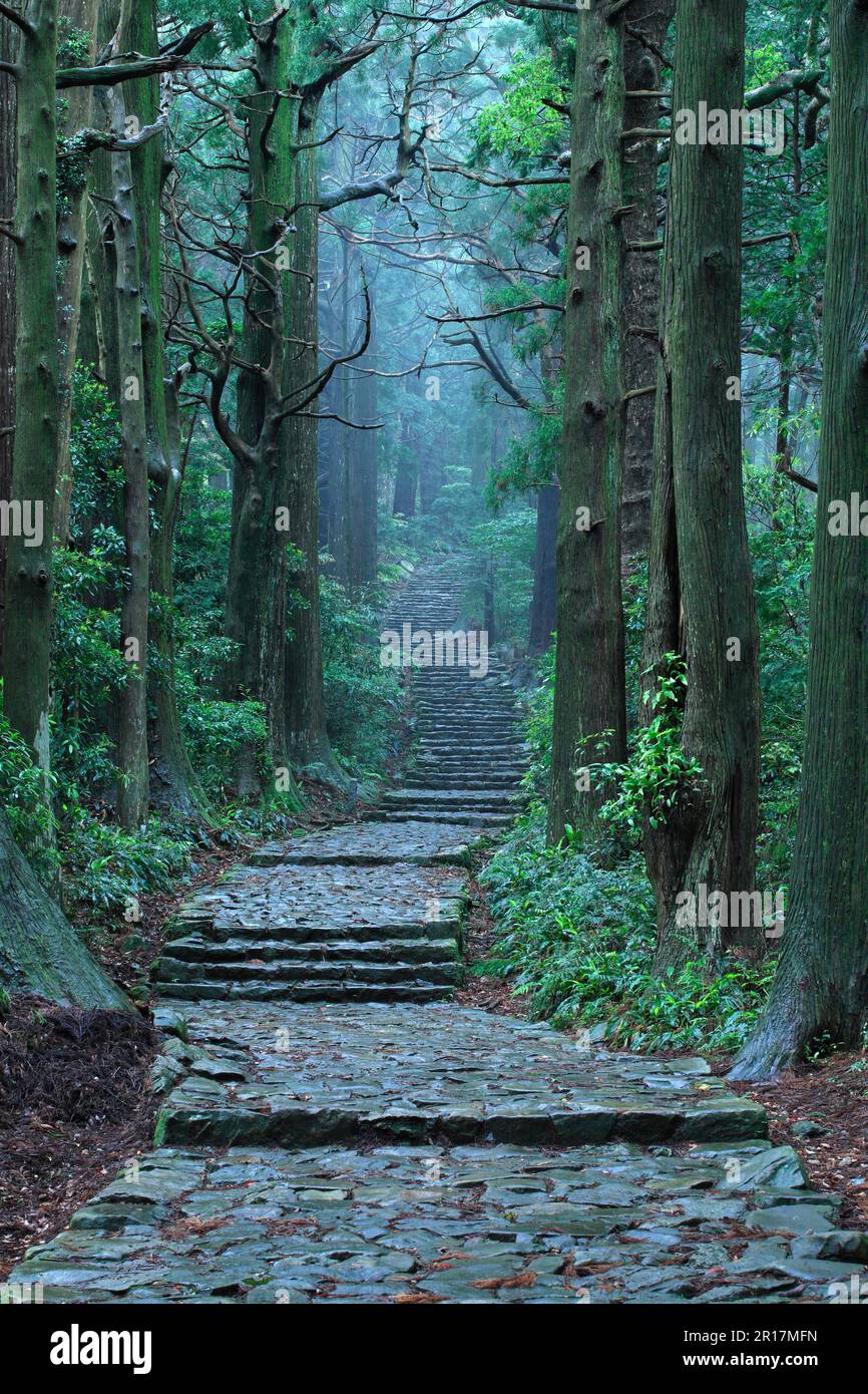 Kumano Nachi mountain daimon slope Stock Photo - Alamy