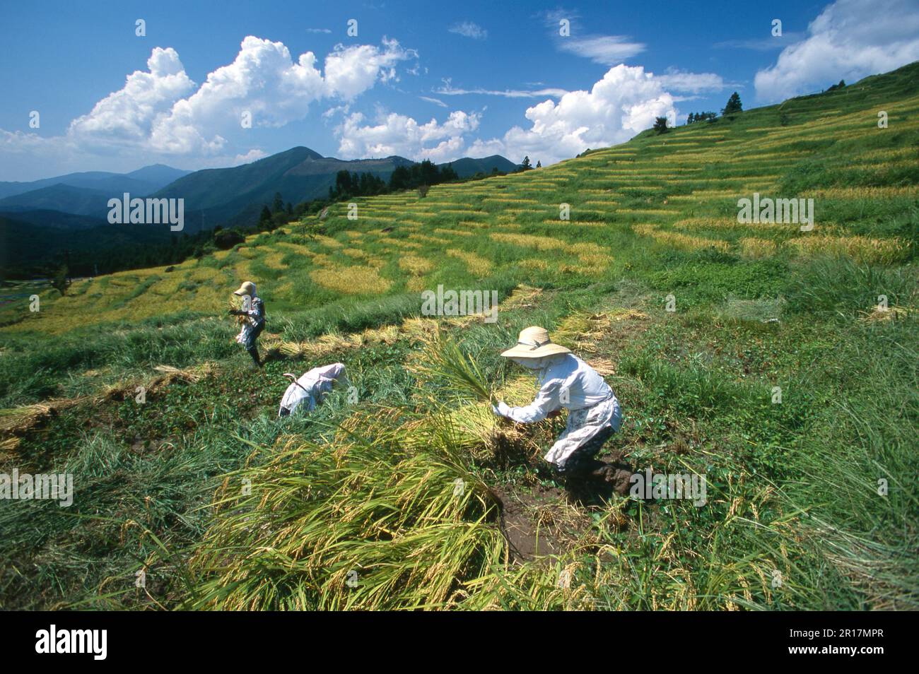 Japan three hundred mountain hi-res stock photography and images - Alamy
