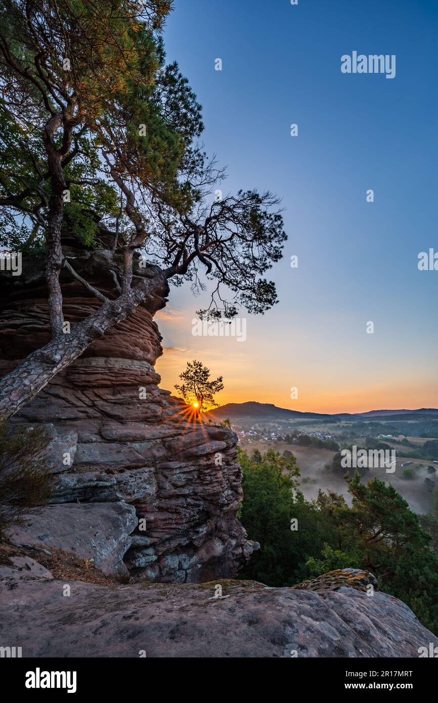 Sunrise above Dahn Rockland seen from Rock Sprinzelfelsen, Dahner ...
