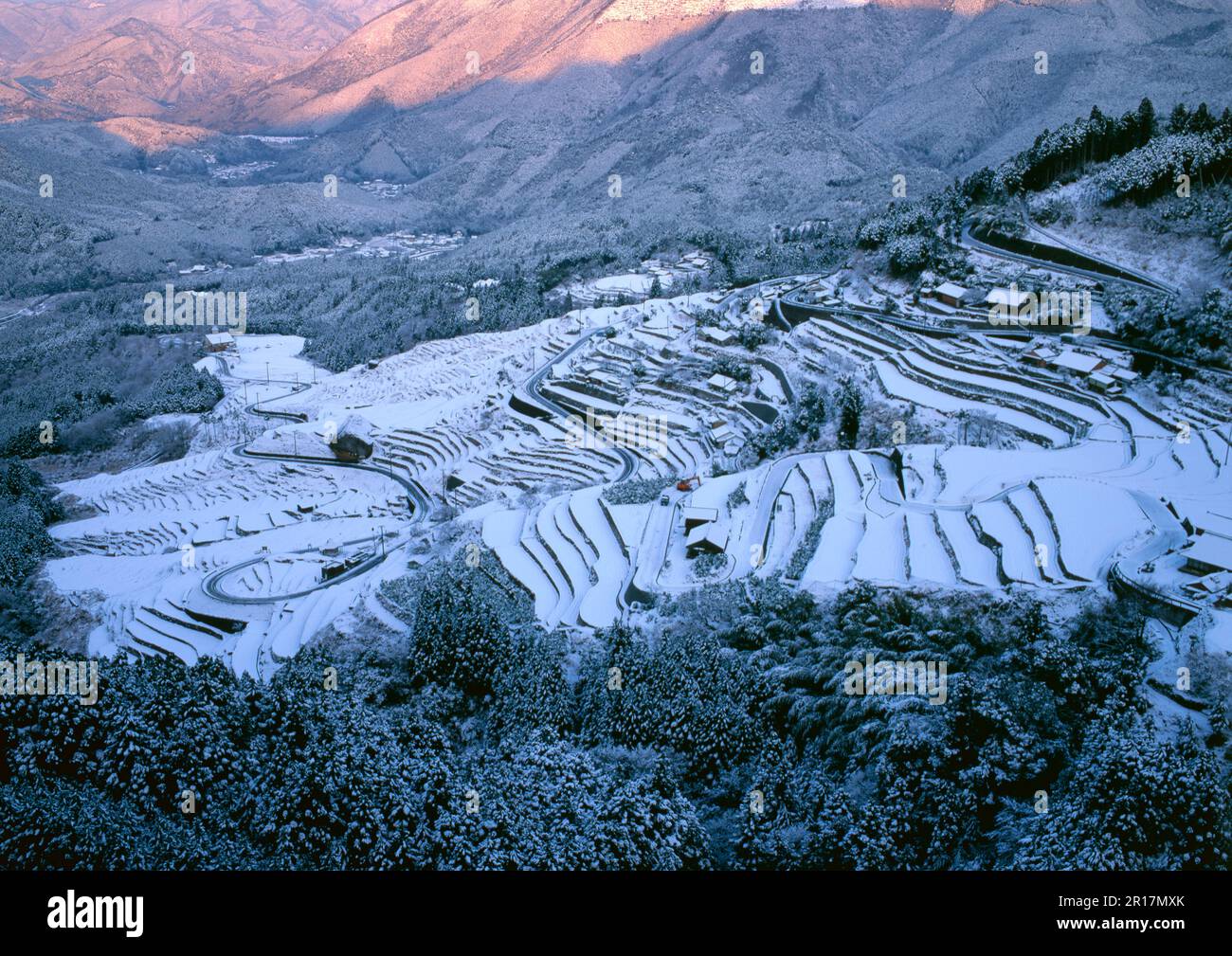 Winter in Maruyama senmaida Stock Photo - Alamy